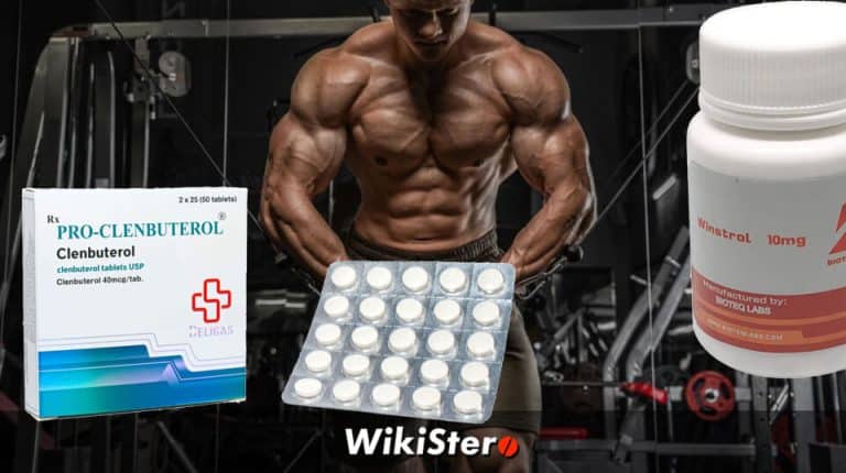 Un guide complet des stéroïdes anabolisants oraux | WikiStero • La ...